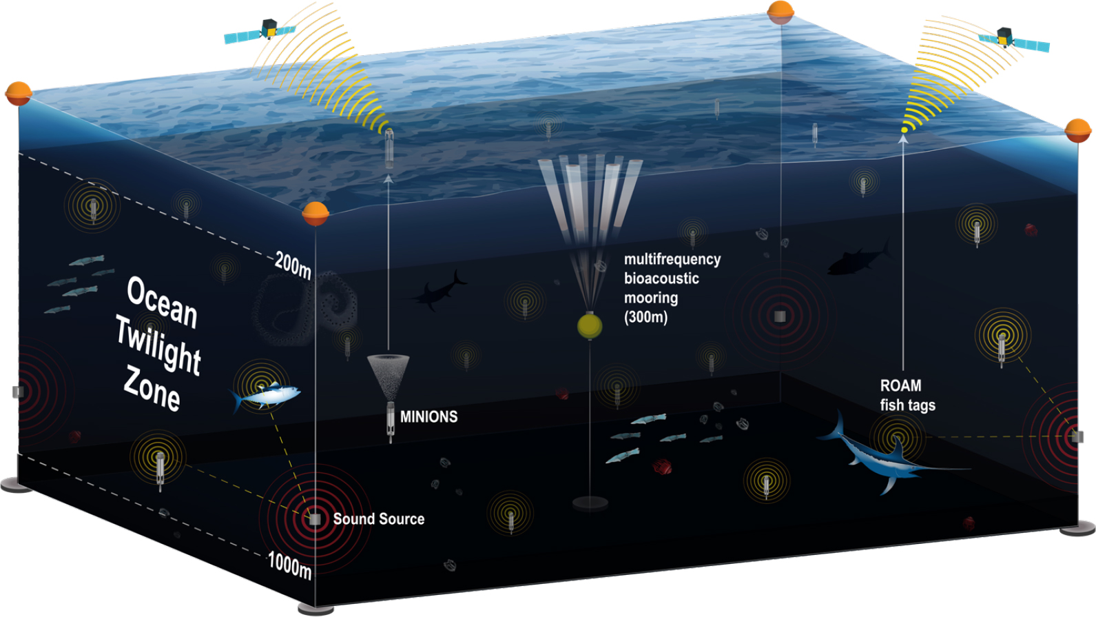 Planetary Oceanography: Leveraging Expertise Among Earth and Planetary ...